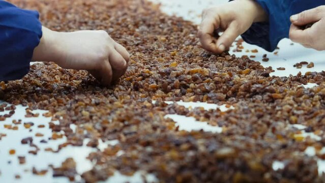 Sultana Images – Browse 17,680 Stock Photos, Vectors, and Video | Adobe ...