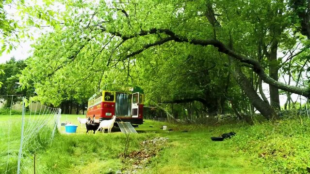 Epa Bilder – Durchsuchen 4,961 Archivfotos, Vektorgrafiken und Videos ...