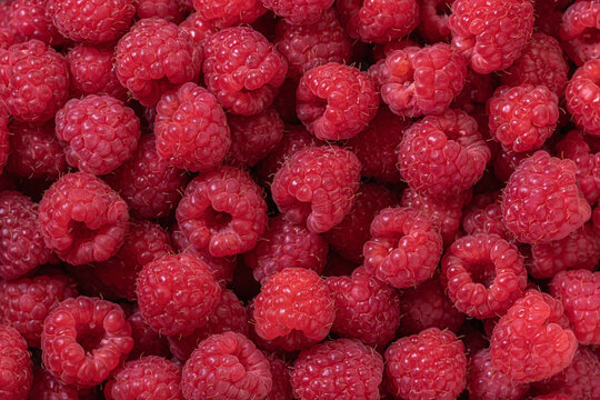 "Raspberry Background" Images – Browse 304 Stock Photos, Vectors, and ...