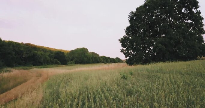 Stevenage Images – Browse 837 Stock Photos, Vectors, and Video | Adobe ...