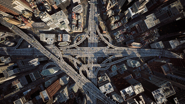 Overpopulation Bilder – Durchsuchen 11,316 Archivfotos, Vektorgrafiken ...