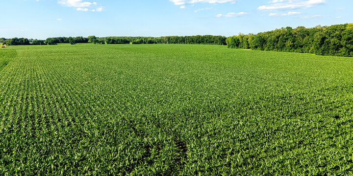 Farmland Images – Browse 1,464,758 Stock Photos, Vectors, and Video ...