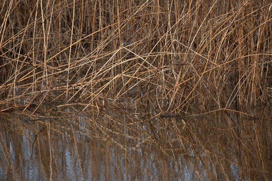 "Scenery Scenic" bilder – Bläddra bland 264 stockfoton, vektorer och ...