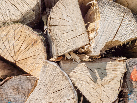 Scheit Imagens – Procure 2,070 fotos, vetores e vídeos | Adobe Stock