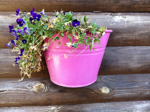 Blechtopf Images – Browse 67 Stock Photos, Vectors, and Video | Adobe Stock