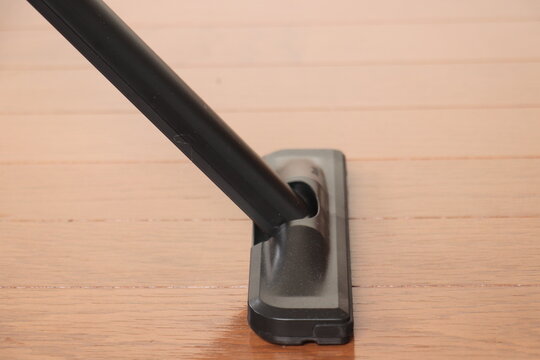 Pfettenkopf-Bilder: Stock-Fotos & -Videos. | Adobe Stock