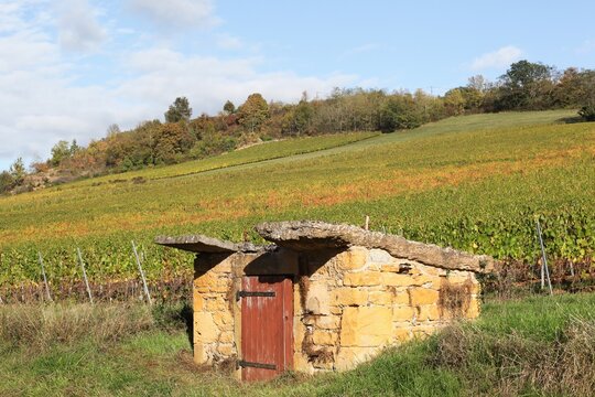 รูปภาพCadole – เลือกดูภาพถ่ายสต็อก เวกเตอร์ และวิดีโอ101 | Adobe Stock