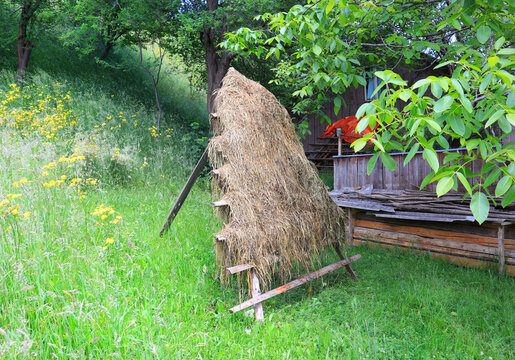 "Drying Hay" Images – Browse 154 Stock Photos, Vectors, and Video ...
