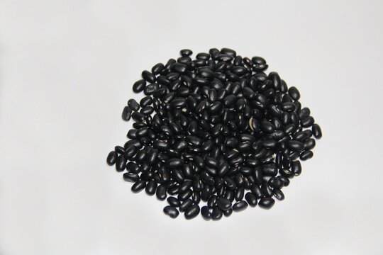 รูปภาพMagnoliopsida – เลือกดูภาพถ่ายสต็อก เวกเตอร์ และวิดีโอ7,914 ...