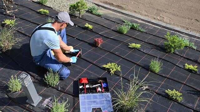 "Weed Control" Images – Browse 6,779 Stock Photos, Vectors, and Video ...
