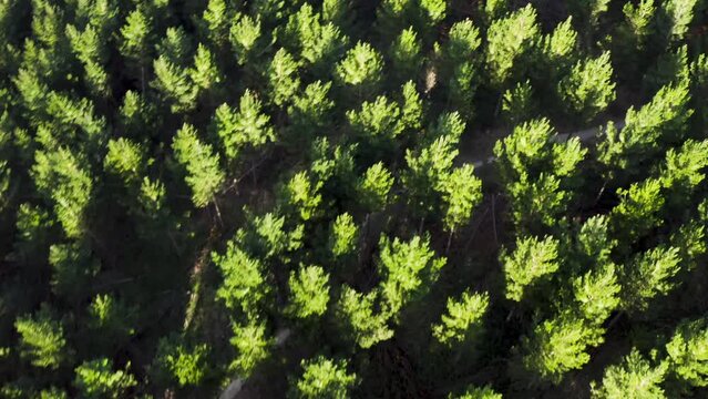 Nbk Images – Browse 368 Stock Photos, Vectors, and Video | Adobe Stock