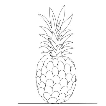 Pineapple Line Drawing Images – Browse 17,475 Stock Photos, Vectors ...