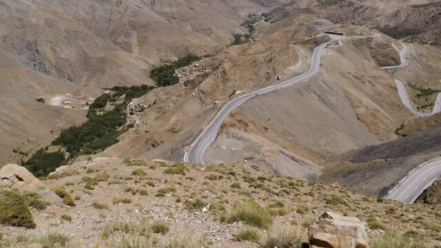 Tizi Images – Browse 717 Stock Photos, Vectors, and Video | Adobe Stock