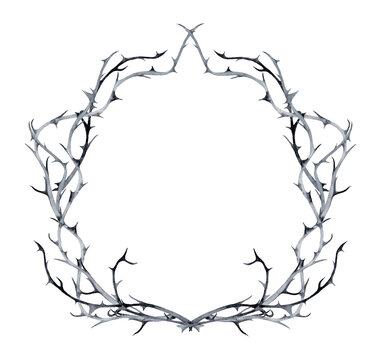 รูปภาพThorn – เลือกดูภาพถ่ายสต็อก เวกเตอร์ และวิดีโอ1,348,153 | Adobe Stock