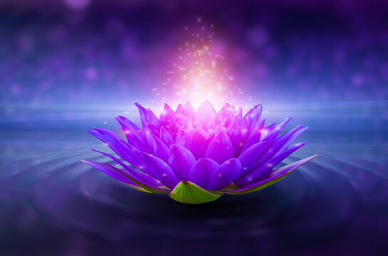 Diwali Blue Background Images – Browse 12,758 Stock Photos, Vectors ...