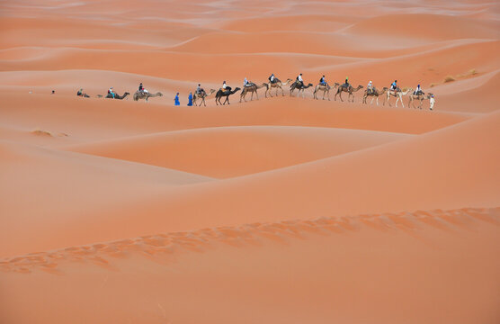 Karawana Images – Browse 189 Stock Photos, Vectors, and Video | Adobe Stock