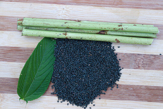 "Jute Seed" Images – Browse 27 Stock Photos, Vectors, and Video | Adobe ...