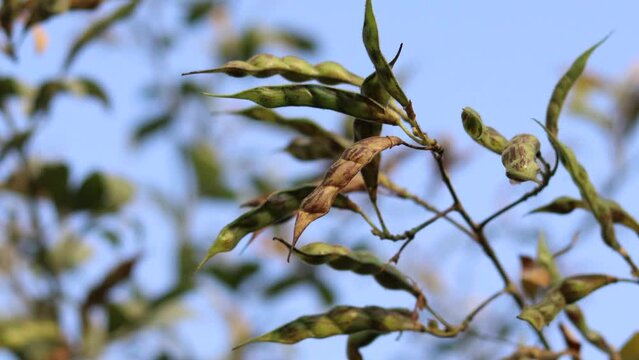 Kardis Images – Browse 61 Stock Photos, Vectors, and Video | Adobe Stock