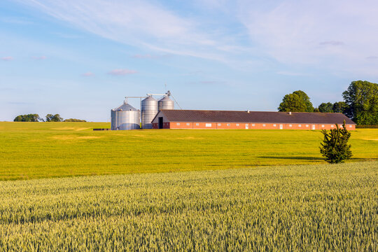 「Danmark」の画像 - 250,445 件の Stock 写真、ベクターおよびビデオ | Adobe Stock