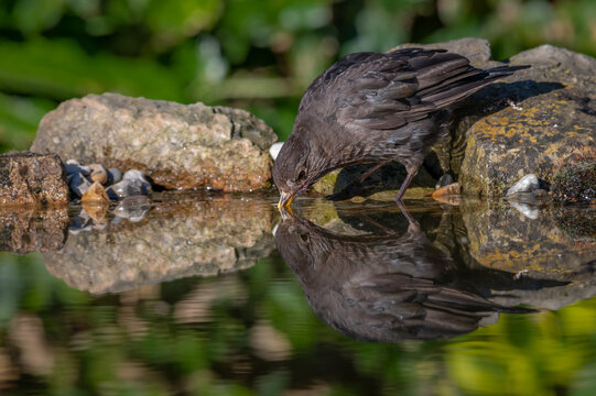 Alerness Images – Browse 16 Stock Photos, Vectors, and Video | Adobe Stock