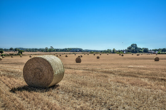 "Hay Fields" Images – Browse 499 Stock Photos, Vectors, and Video | Adobe Stock