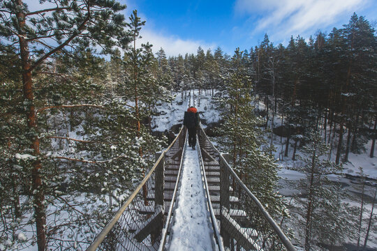 รูปภาพ"Koli – เลือกดูภาพถ่ายสต็อก เวกเตอร์ และวิดีโอ4,233 | Adobe Stock