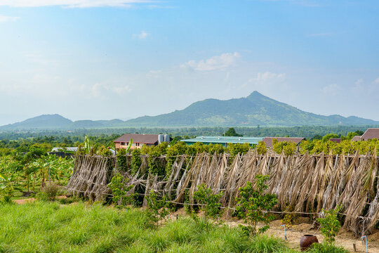 รูปภาพKampot – เลือกดูภาพถ่ายสต็อก เวกเตอร์ และวิดีโอ4,648 | Adobe Stock