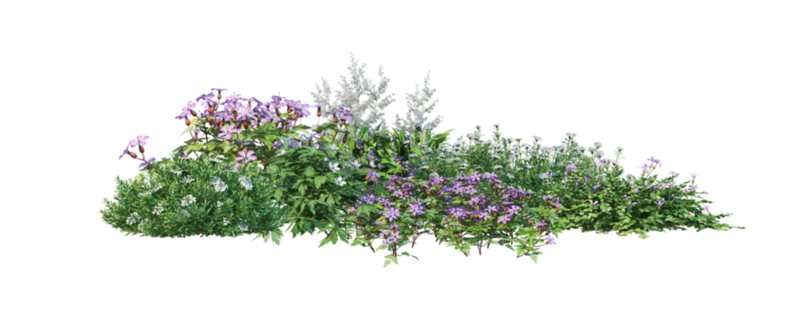 Flower Shrub Png