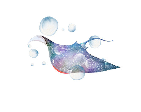 Stingray Transparent Images – Browse 706 Stock Photos, Vectors, and ...