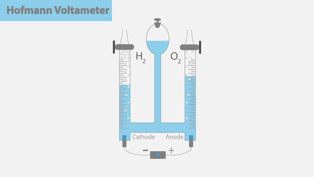 「Hofmann」の画像 - 62 件の Stock 写真、ベクターおよびビデオ | Adobe Stock