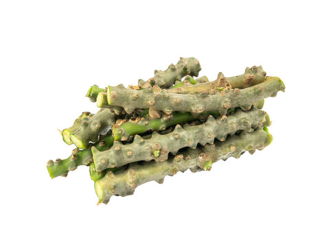 รูปภาพGiloe – เลือกดูภาพถ่ายสต็อก เวกเตอร์ และวิดีโอ552 | Adobe Stock