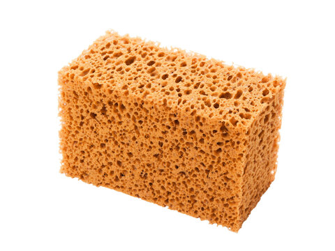 "Freshwater Sponge" Bilder – Durchsuchen 633,866 Archivfotos ...