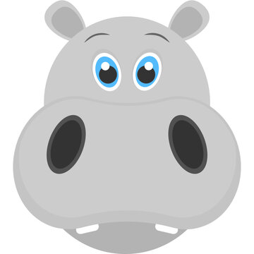 Hippopotamus Face Clipart Images