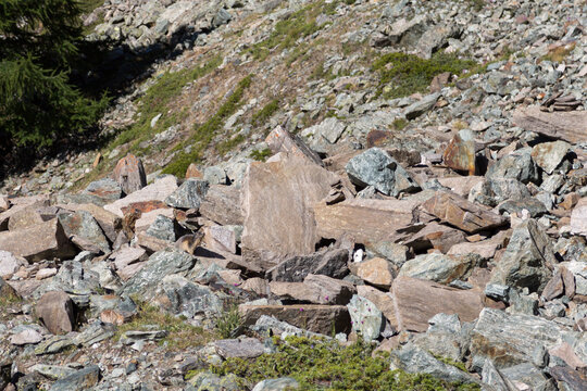 Pierrier Images – Browse 963 Stock Photos, Vectors, and Video | Adobe Stock