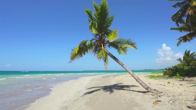 Sement 이미지 – 찾아보기 293 스톡 사진, 벡터 및 비디오 | Adobe Stock