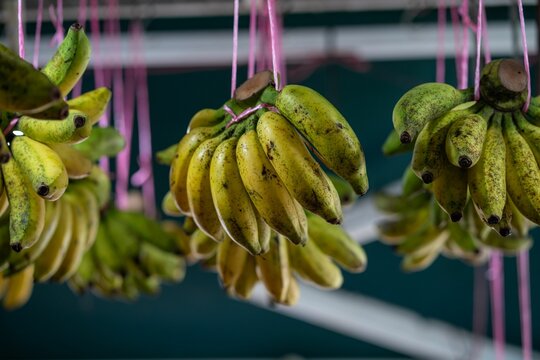 "Hand Of Bananas"-Bilder: Stock-Fotos & -Videos. | Adobe Stock