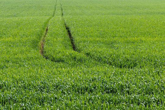 "Rural Economy" Images – Browse 10,731 Stock Photos, Vectors, and Video ...