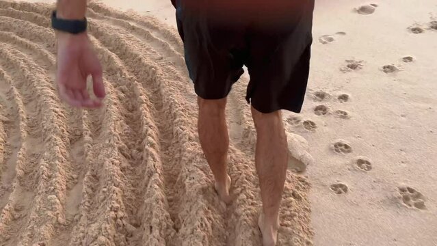 Trampling Video Footage – Browse 615 HD Stock Video and Footage | Adobe Stock