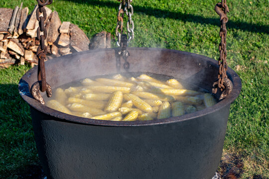 Garry photos, images, assets | Adobe Stock