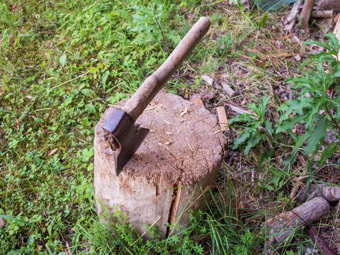 Tree Injectorhypo Hatchet