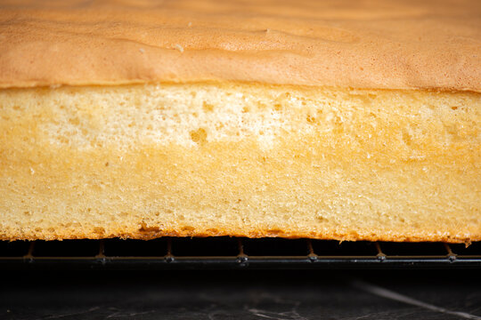 Sponge-Cake Bilder – Durchsuchen 1,619 Archivfotos, Vektorgrafiken und ...