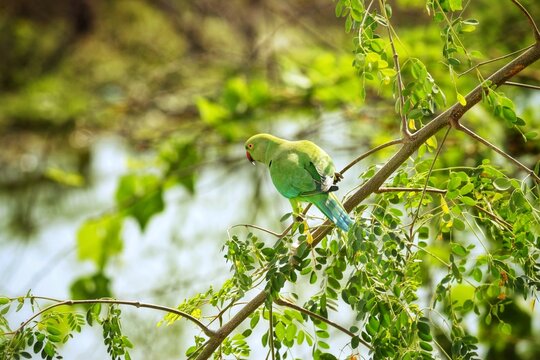 Clickz Images – Browse 9 Stock Photos, Vectors, and Video | Adobe Stock