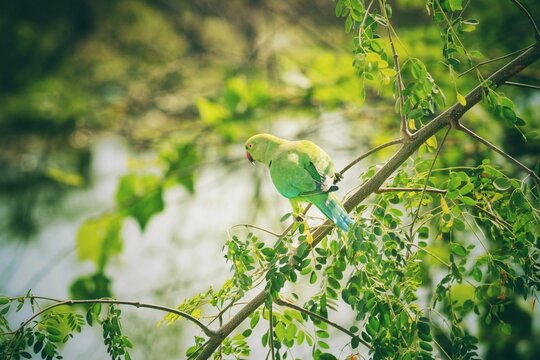 Clickz Images – Browse 9 Stock Photos, Vectors, and Video | Adobe Stock