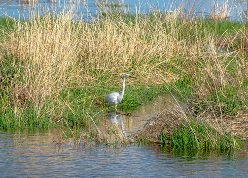 「Erget」の写真素材 | 112件の無料イラスト画像 | Adobe Stock