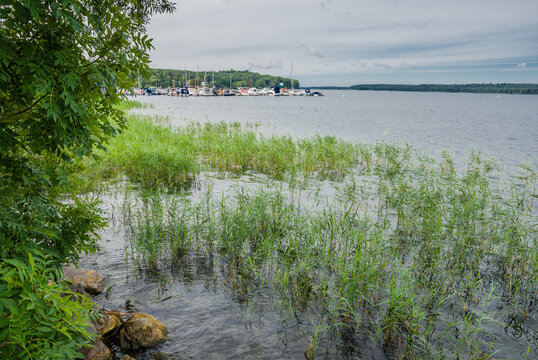 Tollense Images – Browse 52 Stock Photos, Vectors, and Video | Adobe Stock