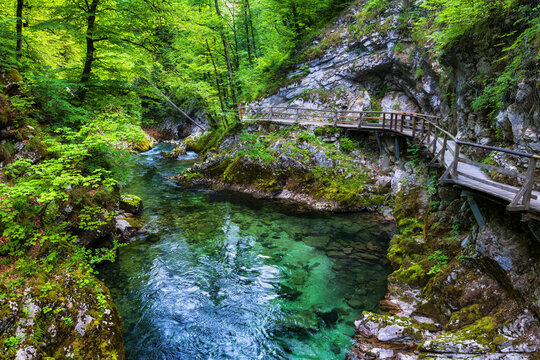 Triglau Bilder – Durchsuchen 27,159 Archivfotos, Vektorgrafiken und ...