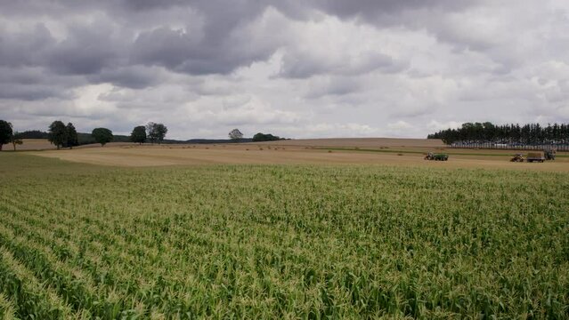 Hay Field Green Images – Browse 126,643 Stock Photos, Vectors, and ...