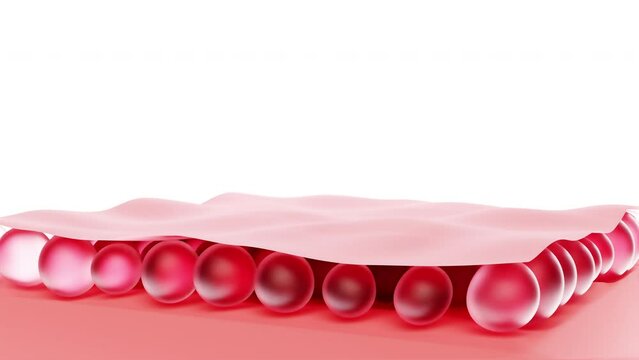 Regenerating Images – Browse 15,735 Stock Photos, Vectors, and Video ...