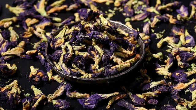 Bluebellvine Images – Browse 411 Stock Photos, Vectors, and Video ...