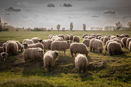 Titel Images – Browse 13,061 Stock Photos, Vectors, and Video | Adobe Stock